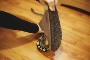 My Pet Python's Shoe Fetish - My Pet Python